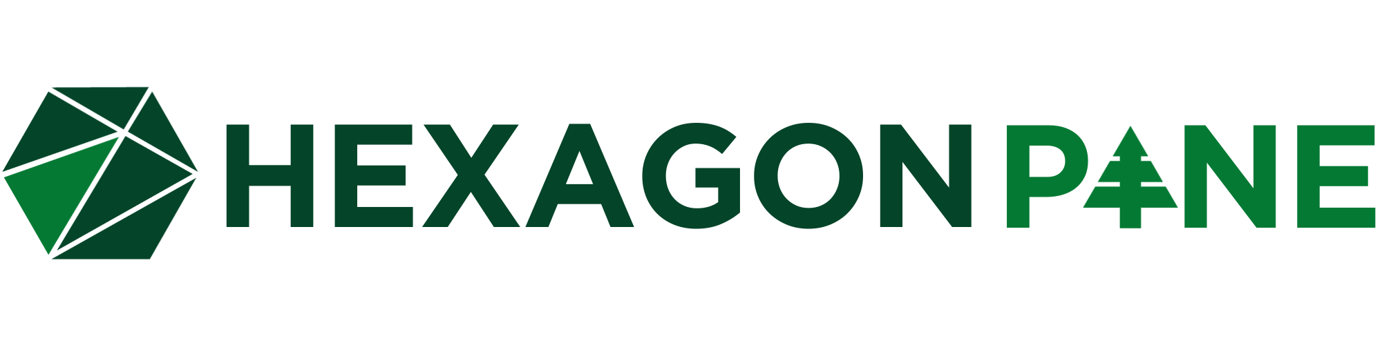 Our Companies | Hexagon Group AG